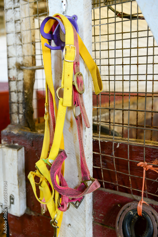 Worn nylon yellow and red horse bridles hanging on a white wooden post ...