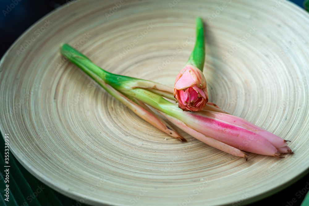 Bunga Kantan known as Torch Ginger flower with scientific name ...