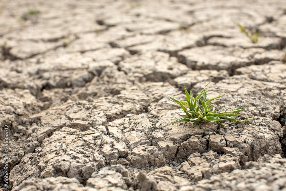 Cracked soil, dry soil, arid, summer soil, lack of moisture, no plants ...