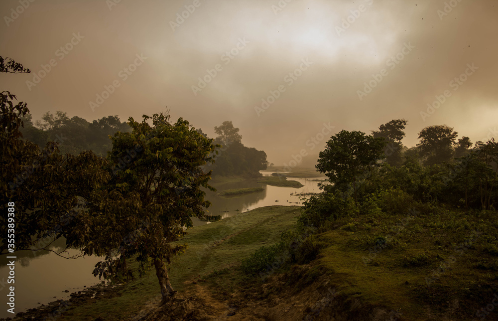 Evergreen rainforest mountains captured during an early foggy morning ...