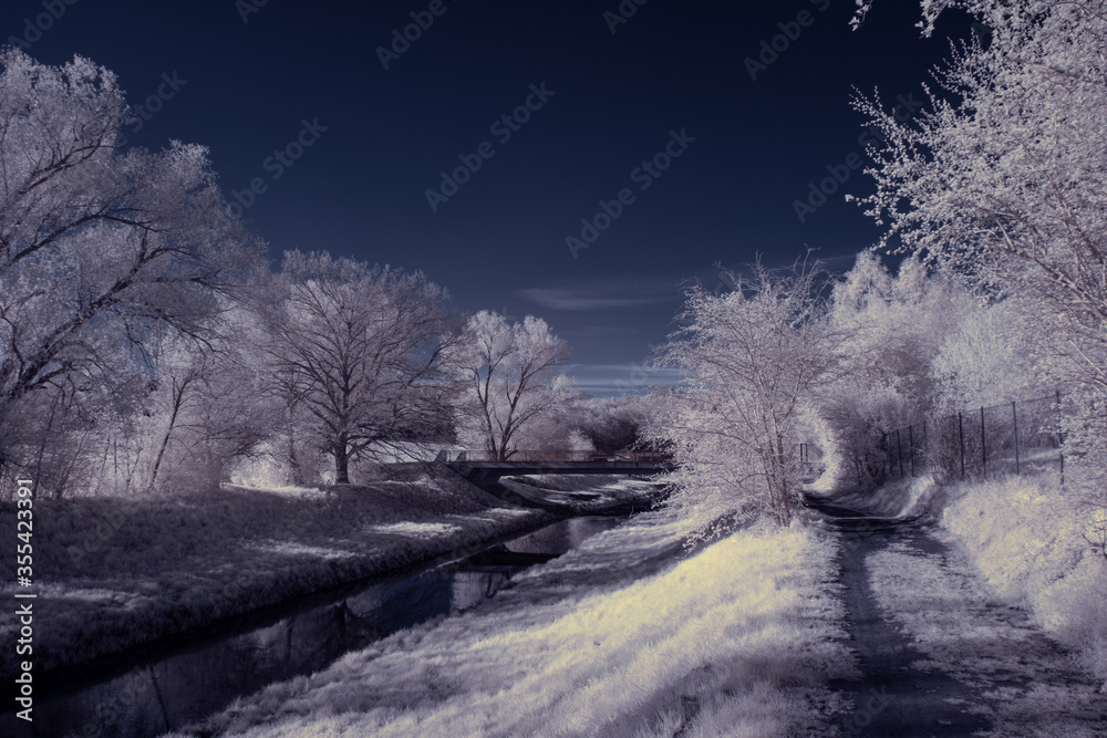 infrared photography - ir photo of landscape with tree under sky with ...