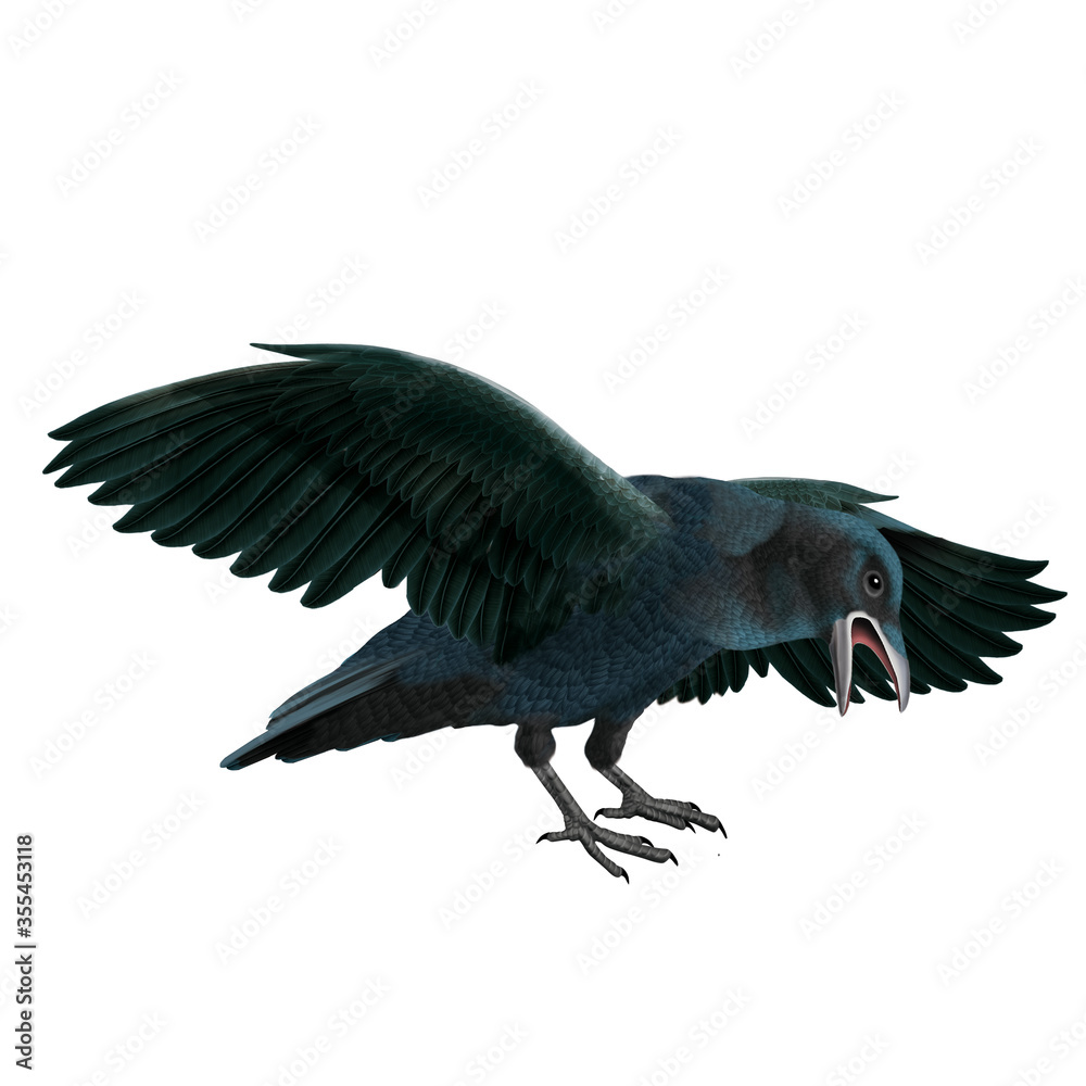 oiseau, , corbeau, volant, aile ouverte, bec ouverte, nature, isolé ...