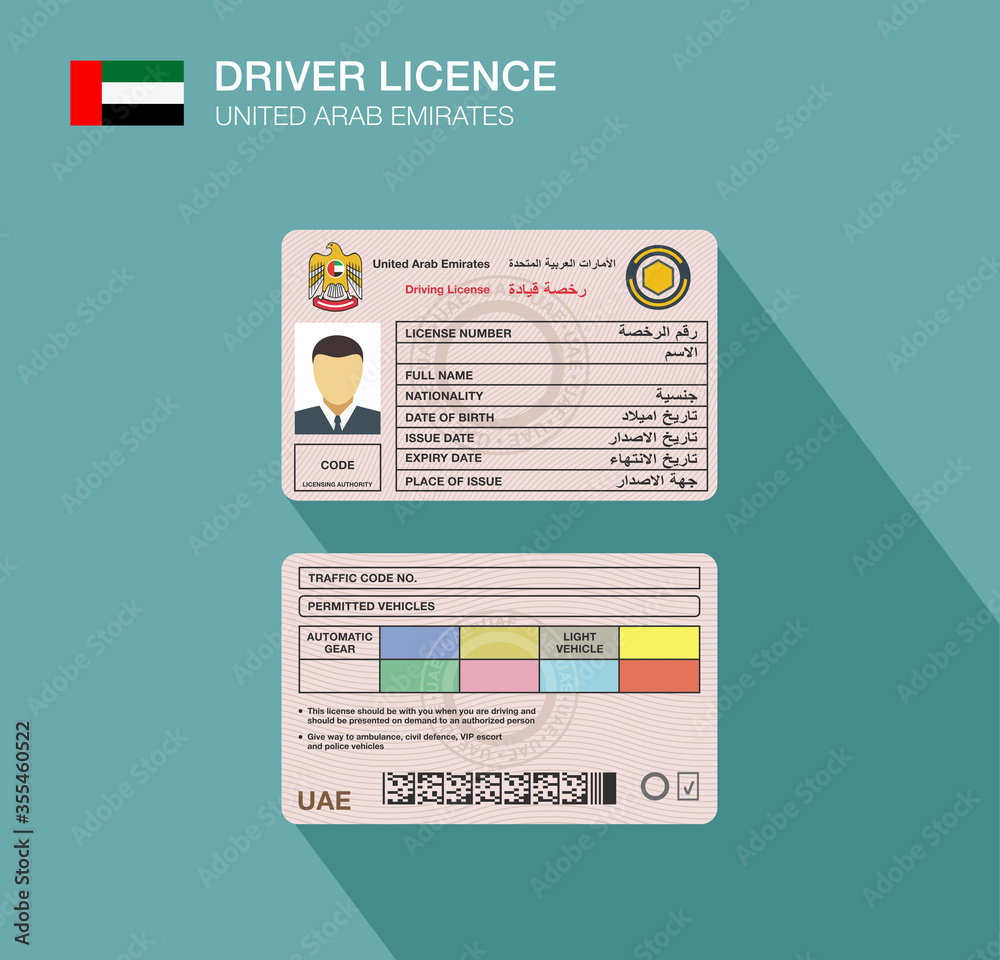 UAE car driver license identification. Flat vector illustration. United ...