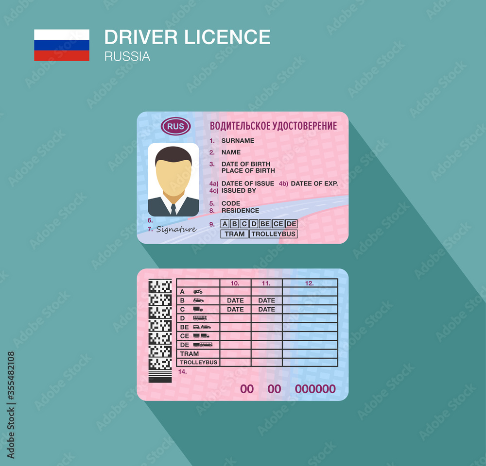 Russian car driver license identification. Flat vector illustration ...