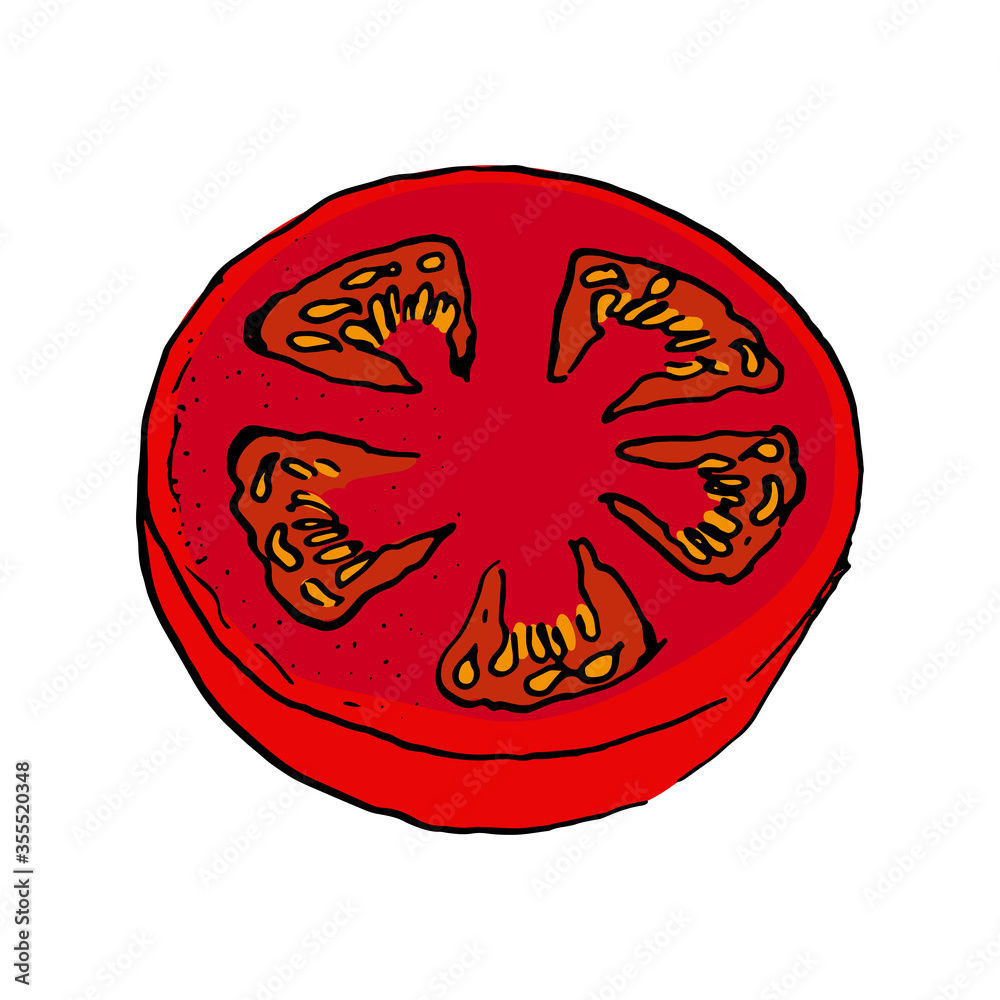 vector colour sketch of gorizontal half of tomato doodle style. hand ...