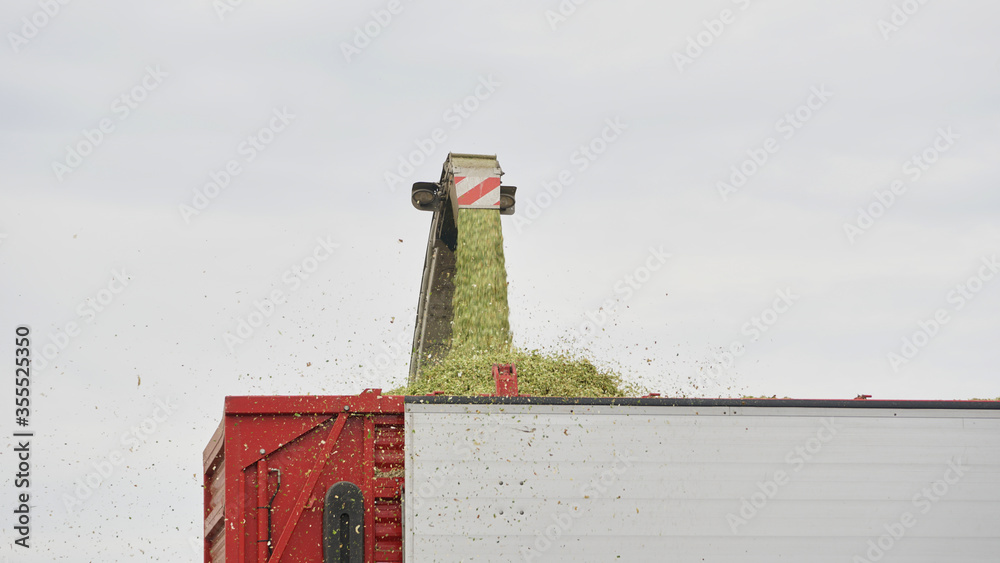 Detail shot of the spout of a self-propelled forage harvester filling ...