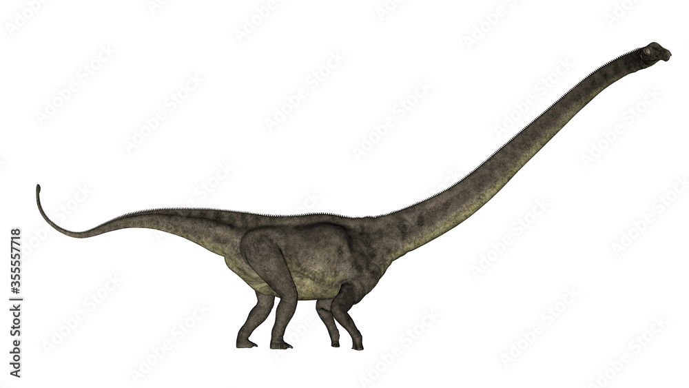 Mamenchisaurus dinosaur walk isolated in white background - 3D render ...