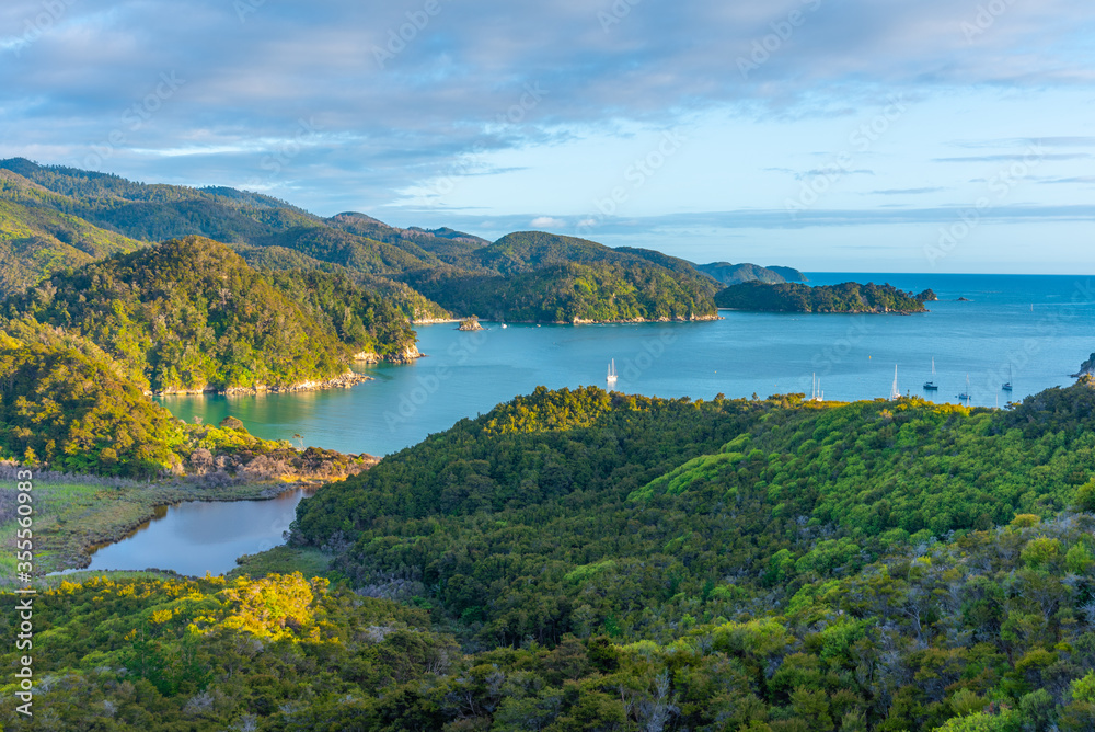 Aerial view of Torrent bay at Abel Tasman national park in New Zealand ...