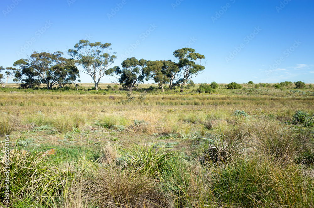 Typical Australian rural landscape with the view of vast fields/vacant ...