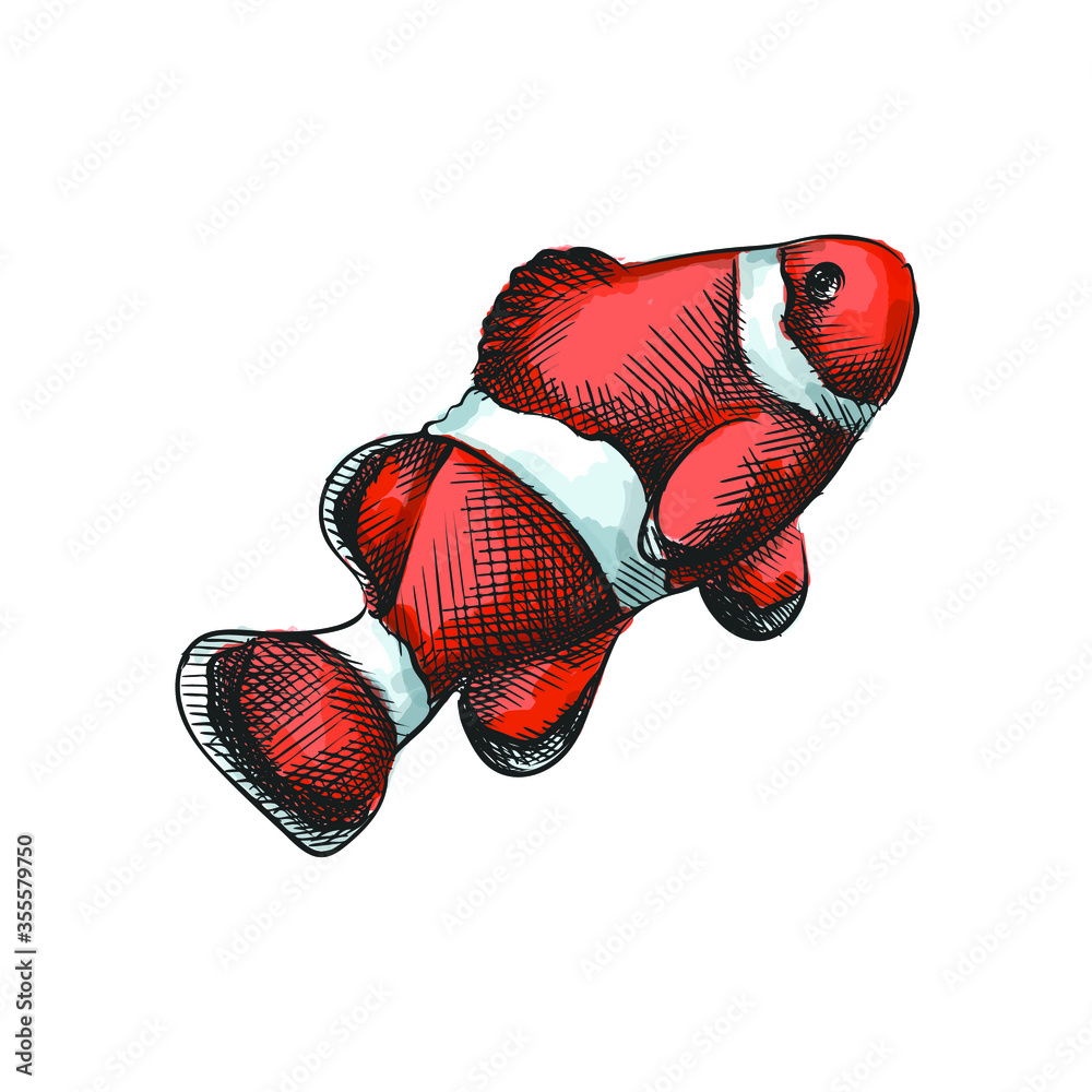 Watercolor colorful Hand-drawn sketch set of sea animal. Red and white ...