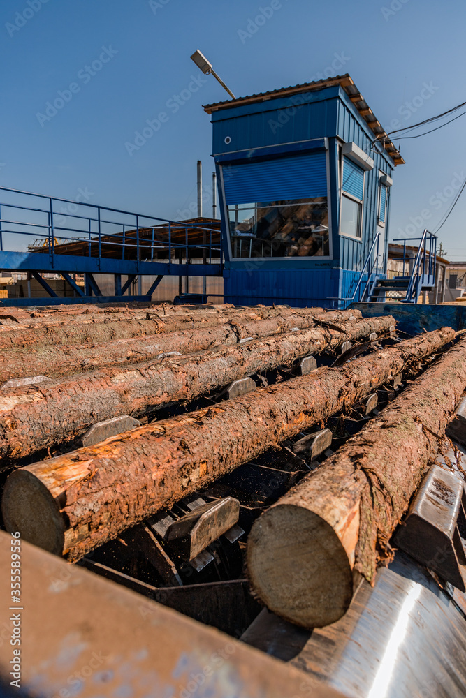 Automated log sorting line. Production of timber from wood. Woodworking ...