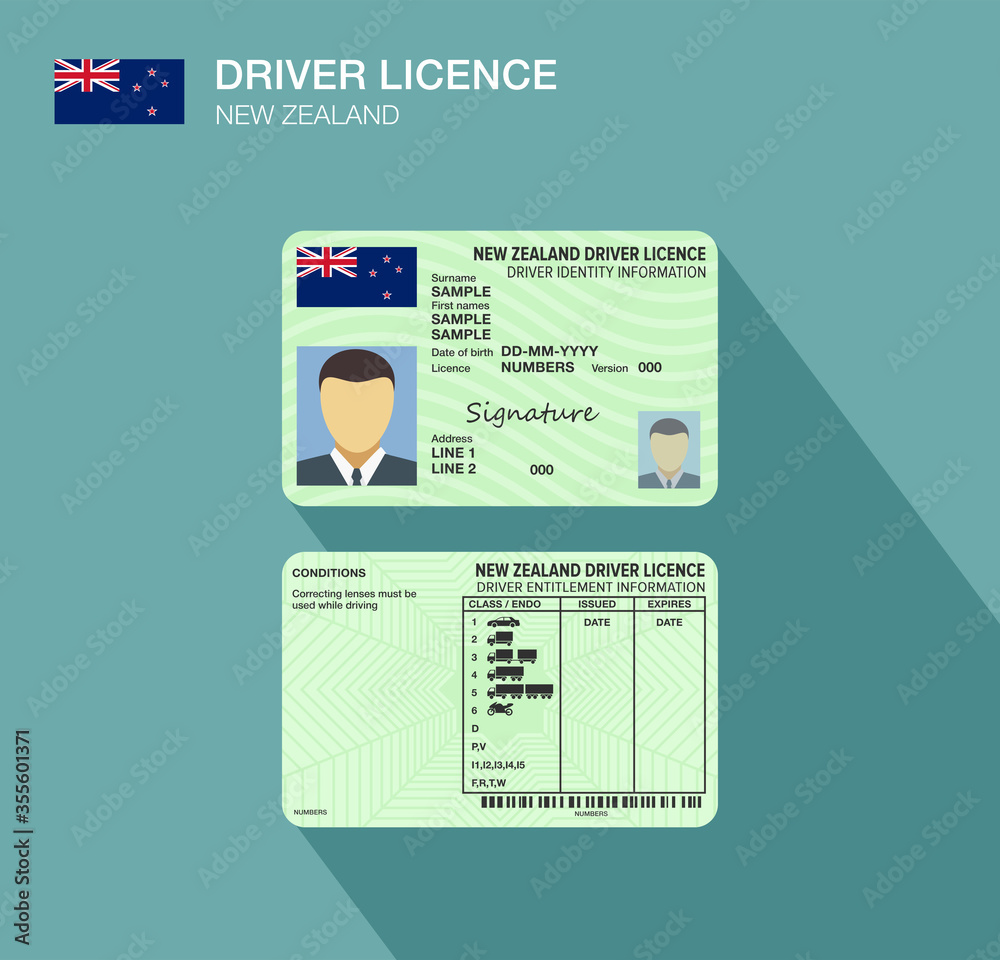 New Zealand car driver license identification. Flat vector illustration ...