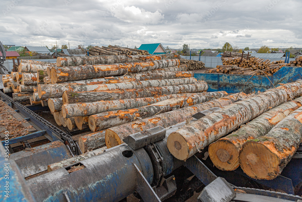 Round timber logs preparation sorting processing at sawmill. Wheel ...