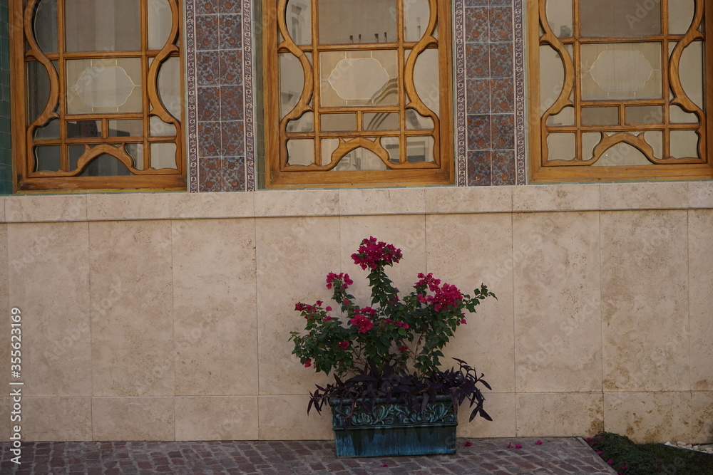 Beautiful Arabic design wall and pink flower plant in Katara Cultural ...
