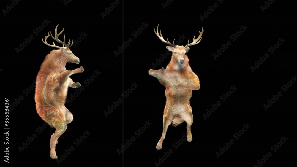 Deer Dance CG fur 3d rendering animal realistic CGI VFX Animation Loop ...