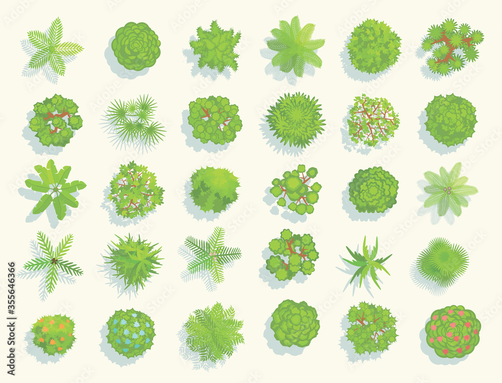 Plant Top View Vector