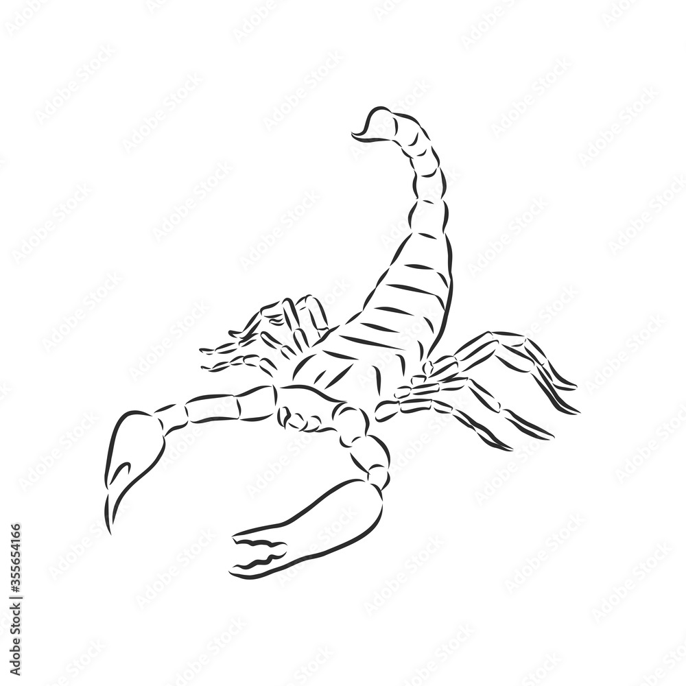 Hand drawn sketch of scorpion. Retro realistic animal isolated. Vintage ...