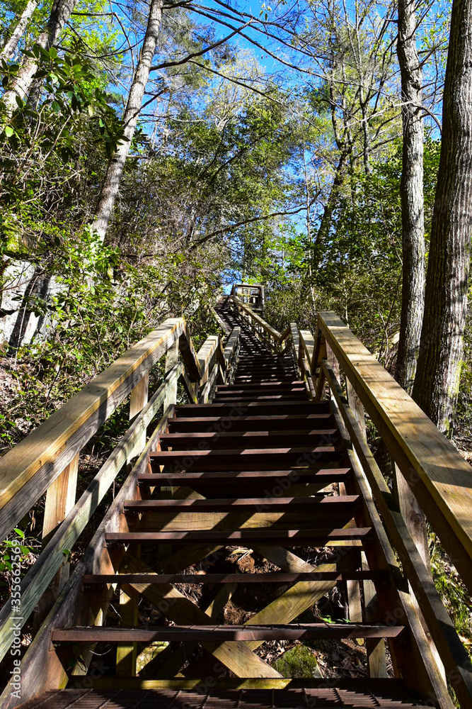 Hurricane Fall Staircase in the Tallulah Falls Gorge State Park hiking ...