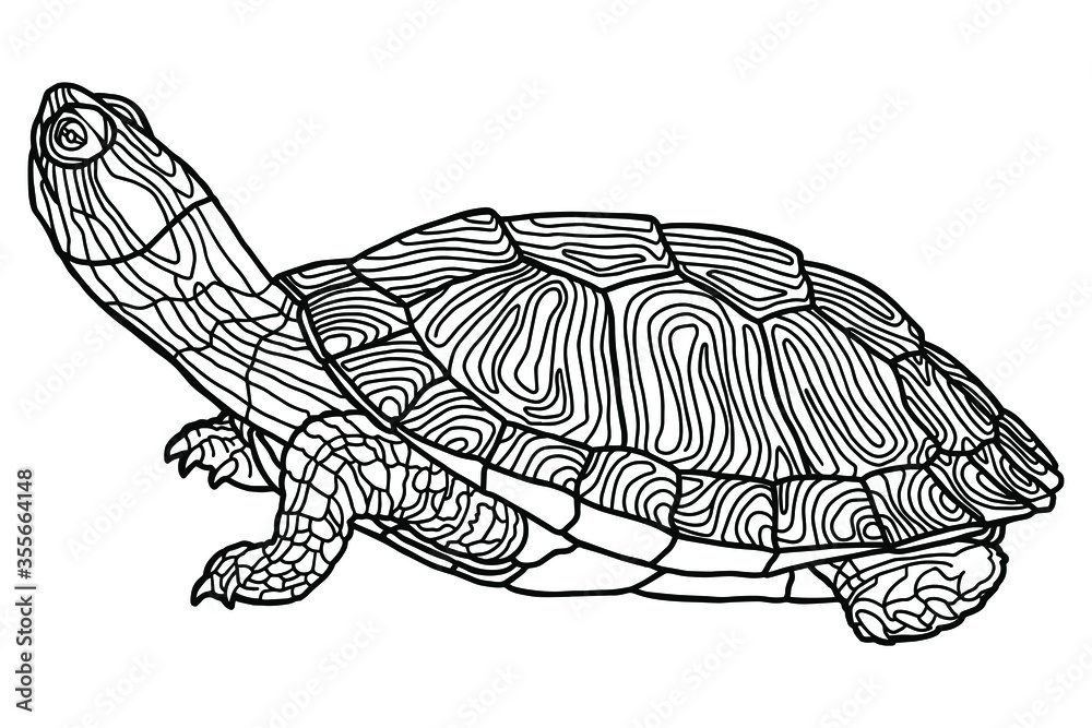 Vector illustration for coloring book. Realistic design. Pond slider ...