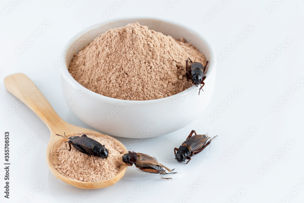 Cricket powder insect and pile Gryllus Bimaculatus for eating as food ...