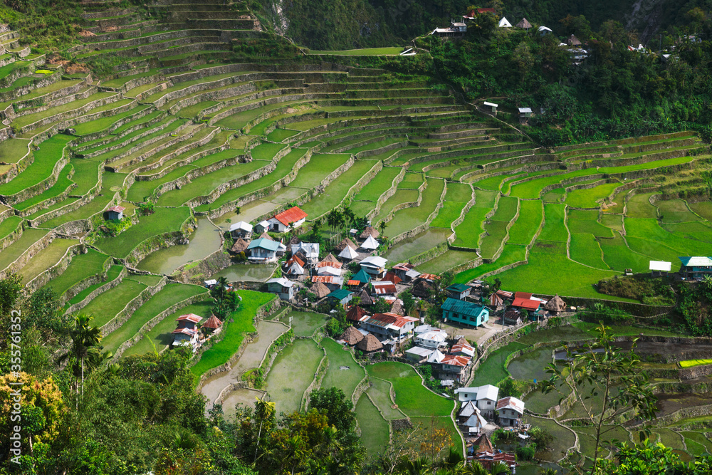 Traditional village in the middle of rice terraces. Colorful houses are ...
