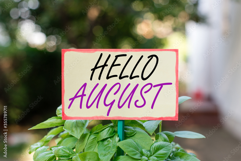 Text sign showing Hello August. Business photo text a positive greeting ...