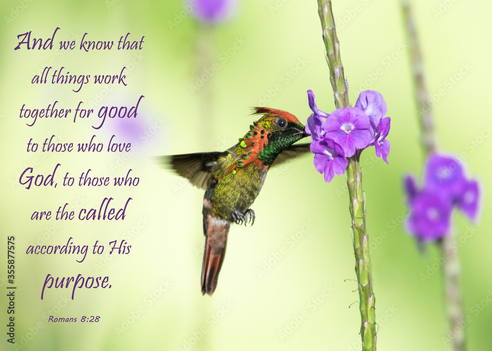 Inspirational, encouraging and uplifting Bible Verses printed on ...
