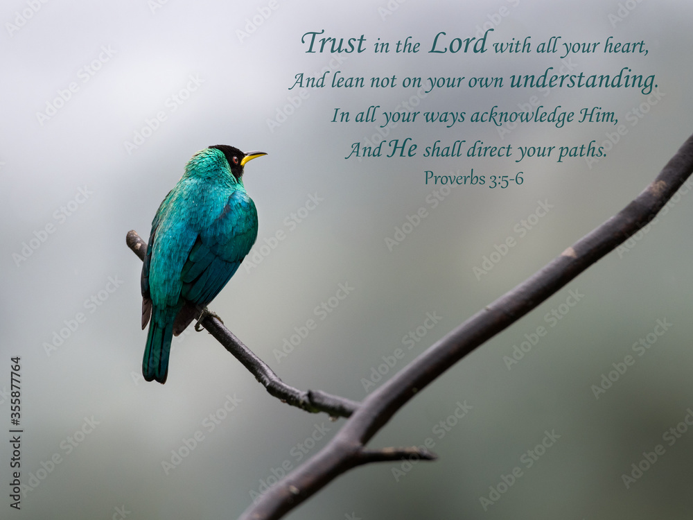 Inspirational, encouraging and uplifting Bible Verses printed on ...