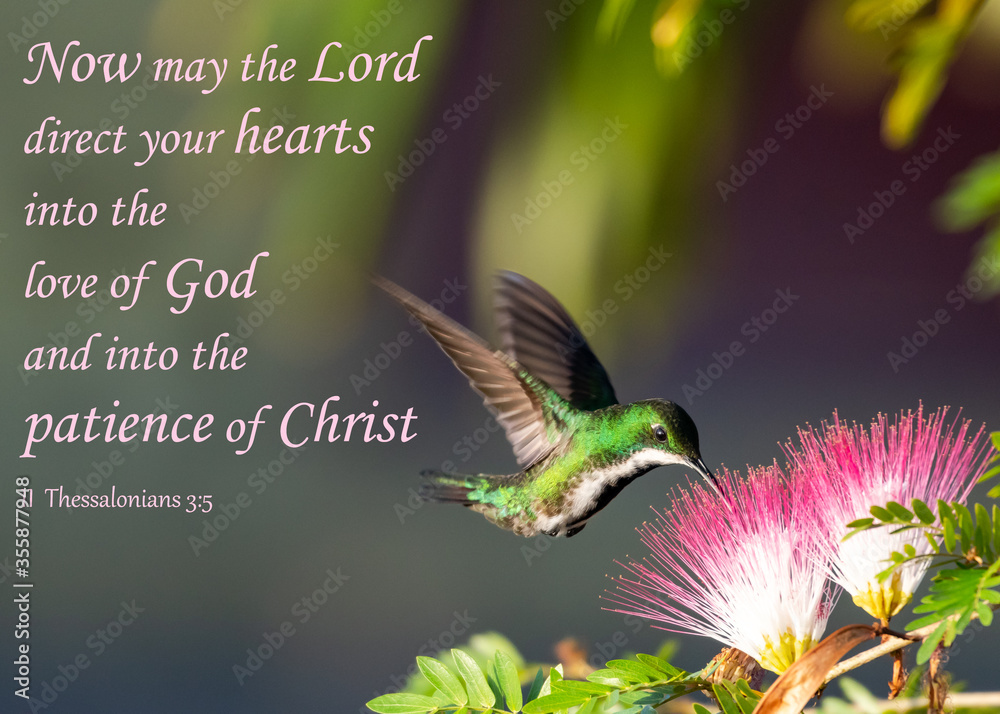 Beautiful Pictures With Bible Quotes The 40 Most Beautiful Bible