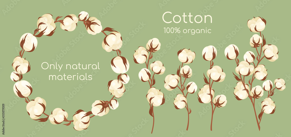 Organic cotton plant vector illustration set. Cartoon flat cottonseed ...
