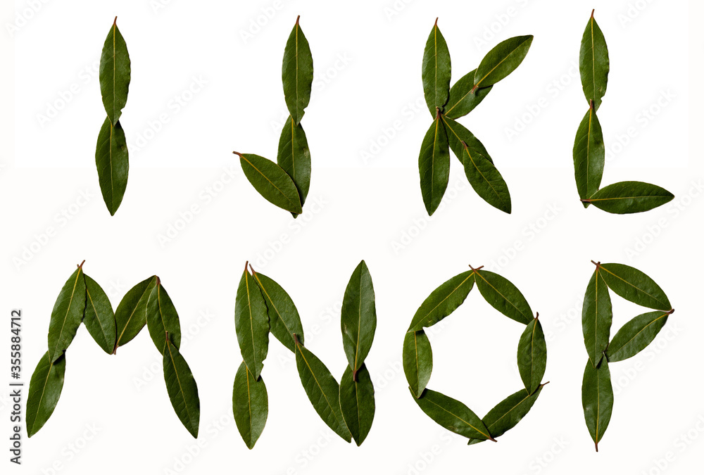 Alphabet letters collected from the leaves of laurel. Laurel font ...