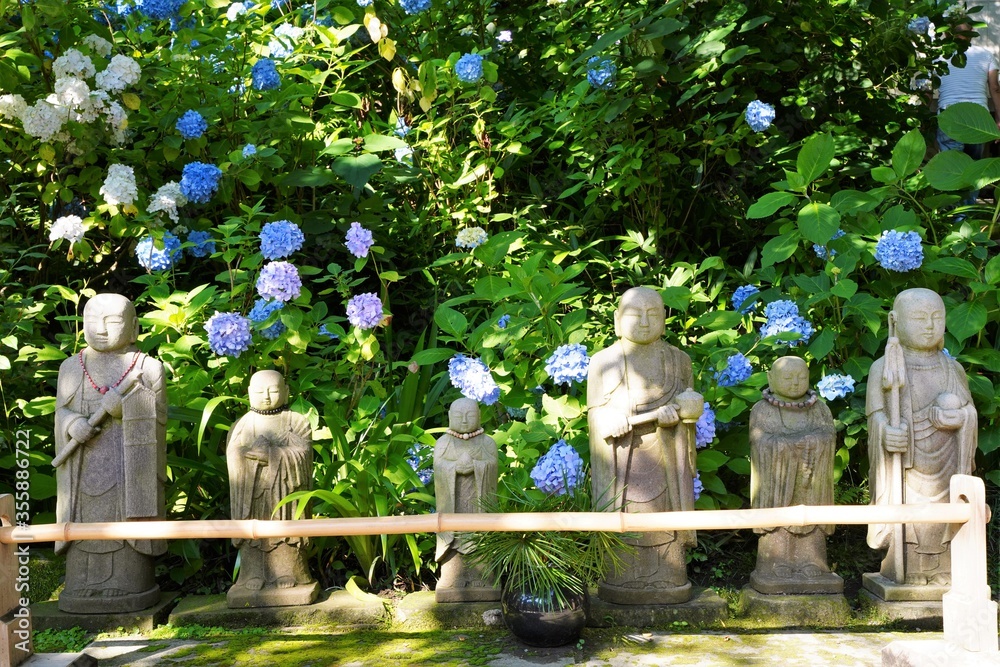 Foto de Buddha statue and purple hydrangea flowers at Meigetsu-in ...