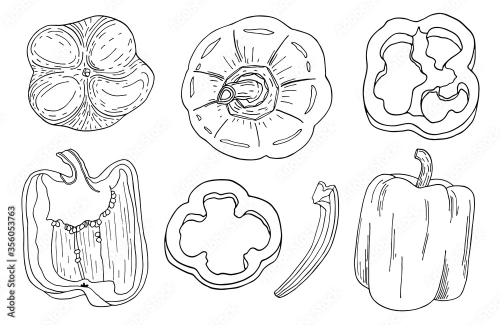 Capsicum Clipart Black And White