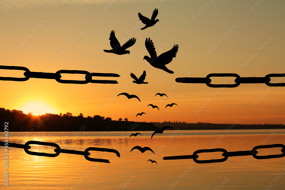 Freedom concept. Silhouettes of broken chain and birds flying outdoors ...