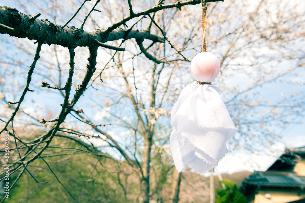 Teru Teru Bozu. Japanese Rain Doll hanging on Sakura tree to pray for ...