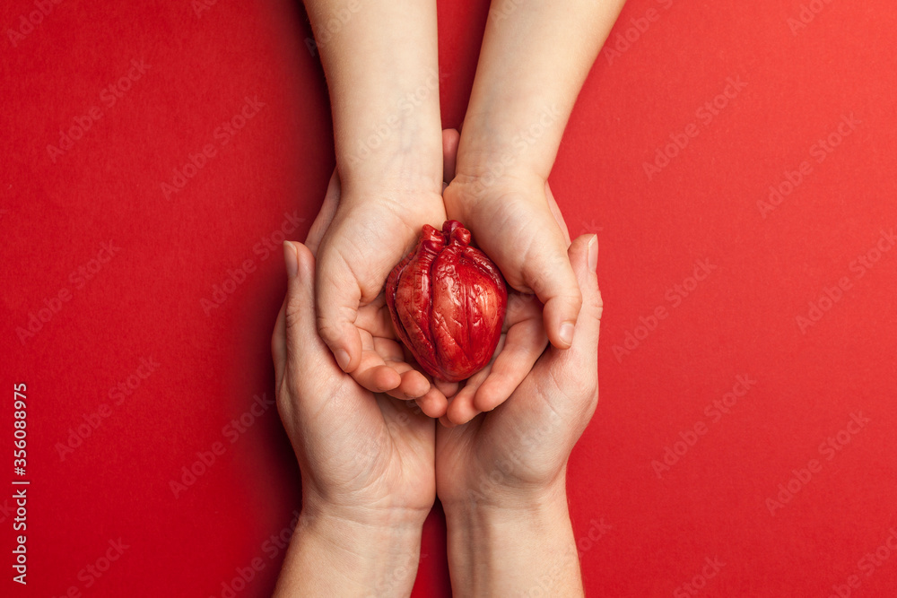 Human heart in mom and kid hands isolated on red background. Heart ...