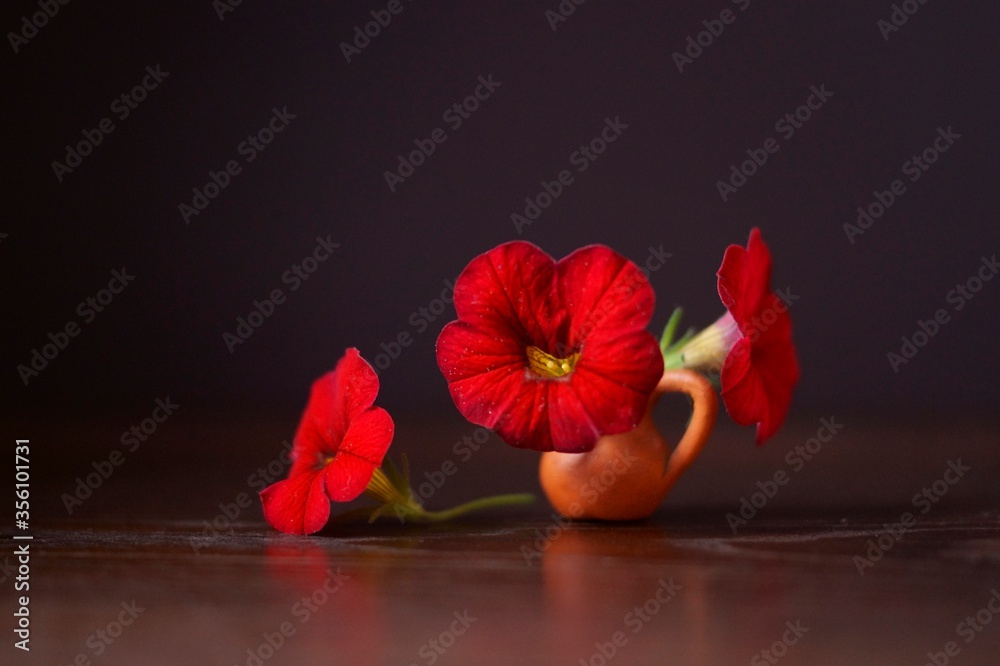 Beautiful background with red seaside petunia, calibrachoa parviflora ...