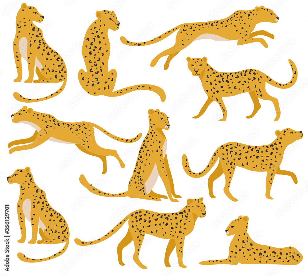 Wild leopard set. Running, jumping and other poses. Vector hand draw ...