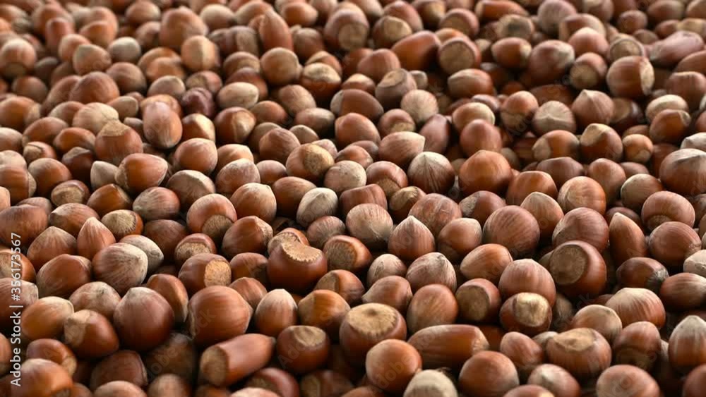 Hazelnuts zoom in. Dolly zoom out. Hazelnut composition and backgorund ...
