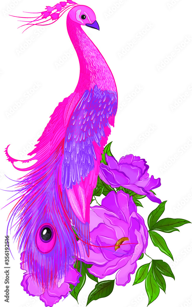 Purple Peacocks