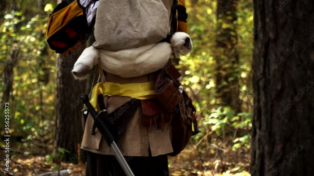 Larp player dressed in costume is making few steps in autumn forest ...