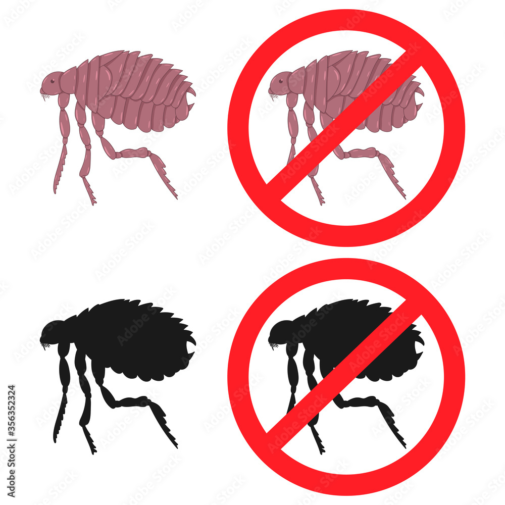 Flea vector cartoon illustration. Black silhouette and warning sign set ...