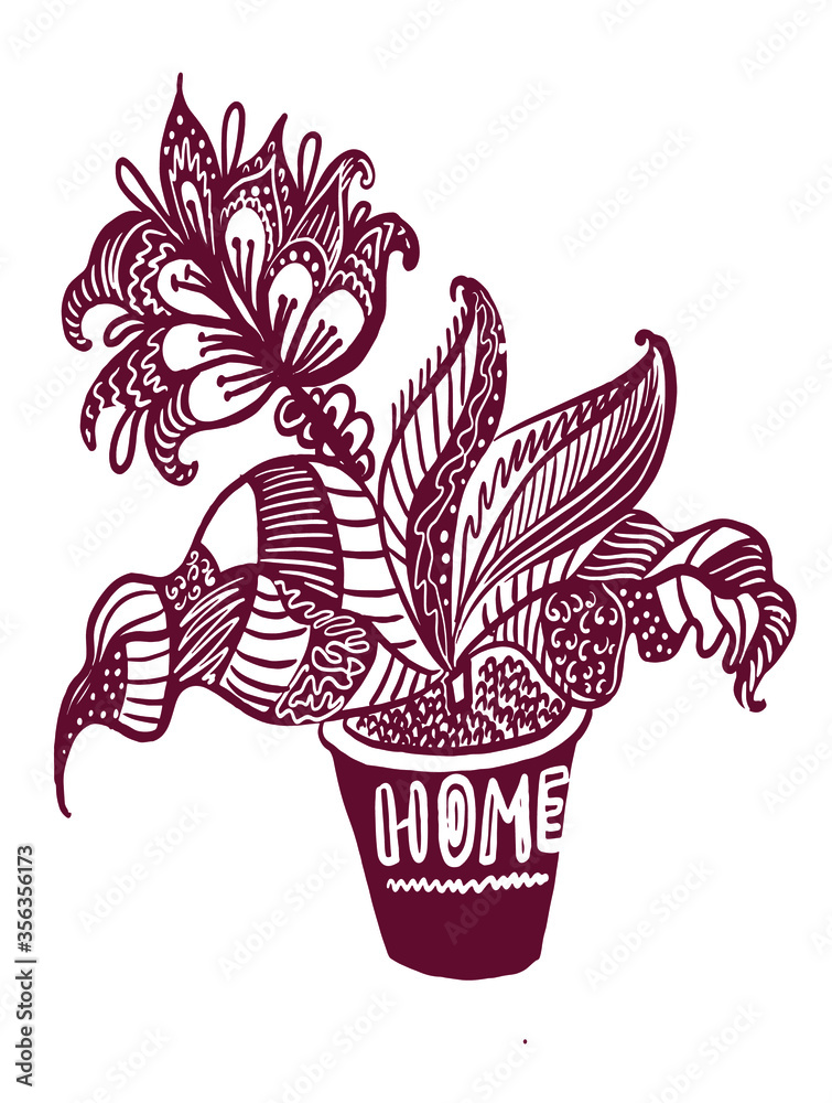drawing picture bright contrasting decorative flowering plant in a pot ...