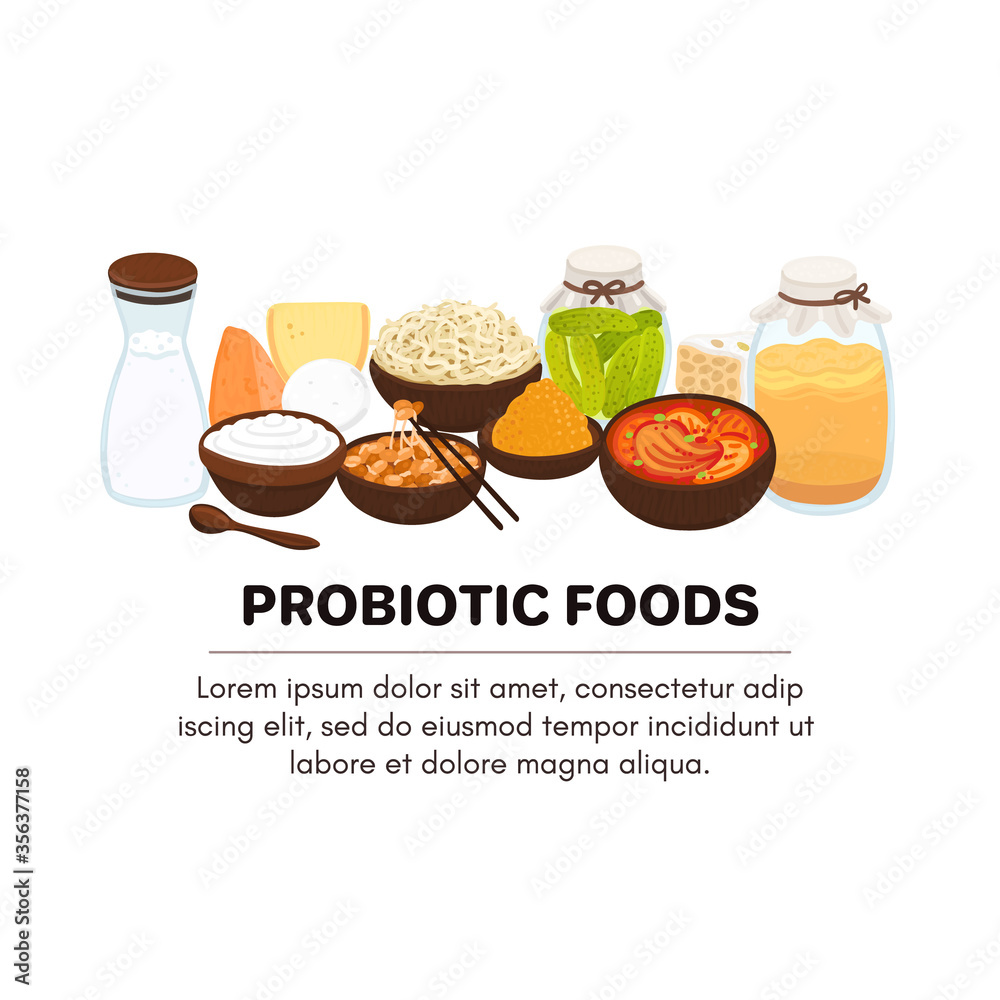 Vector probiotic foods. Best sources of probiotics. Beneficial bacteria ...
