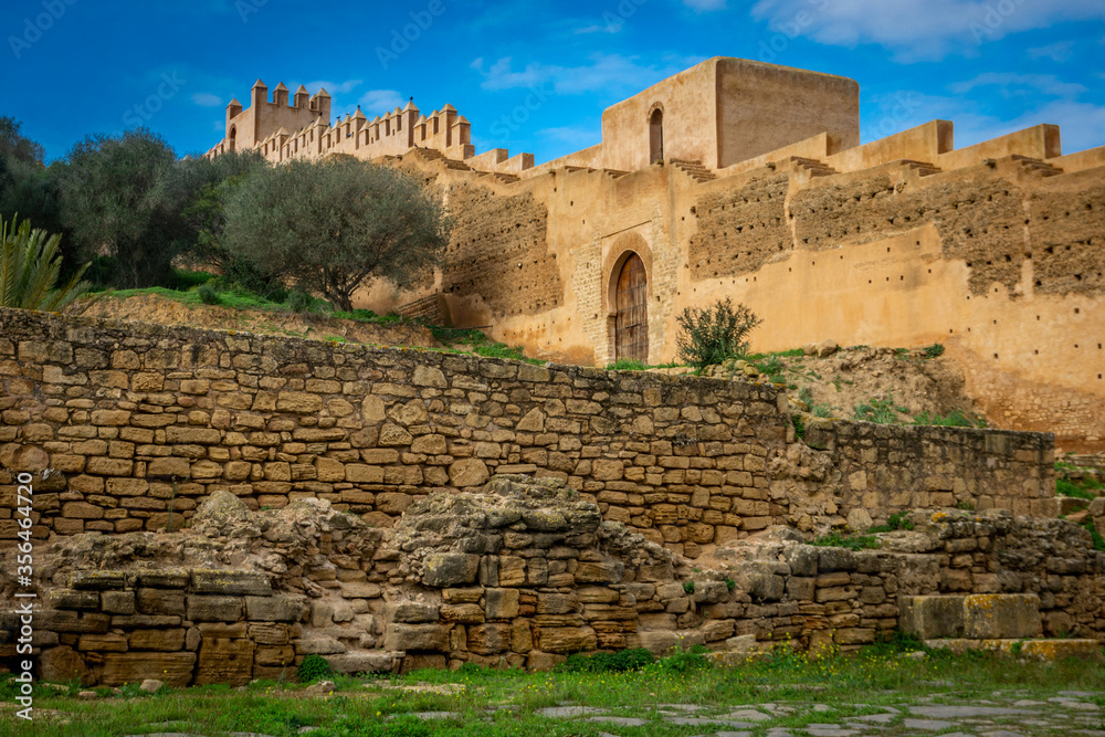 Ancient necropolis of Chellah with ruins of 11th century mosque ...
