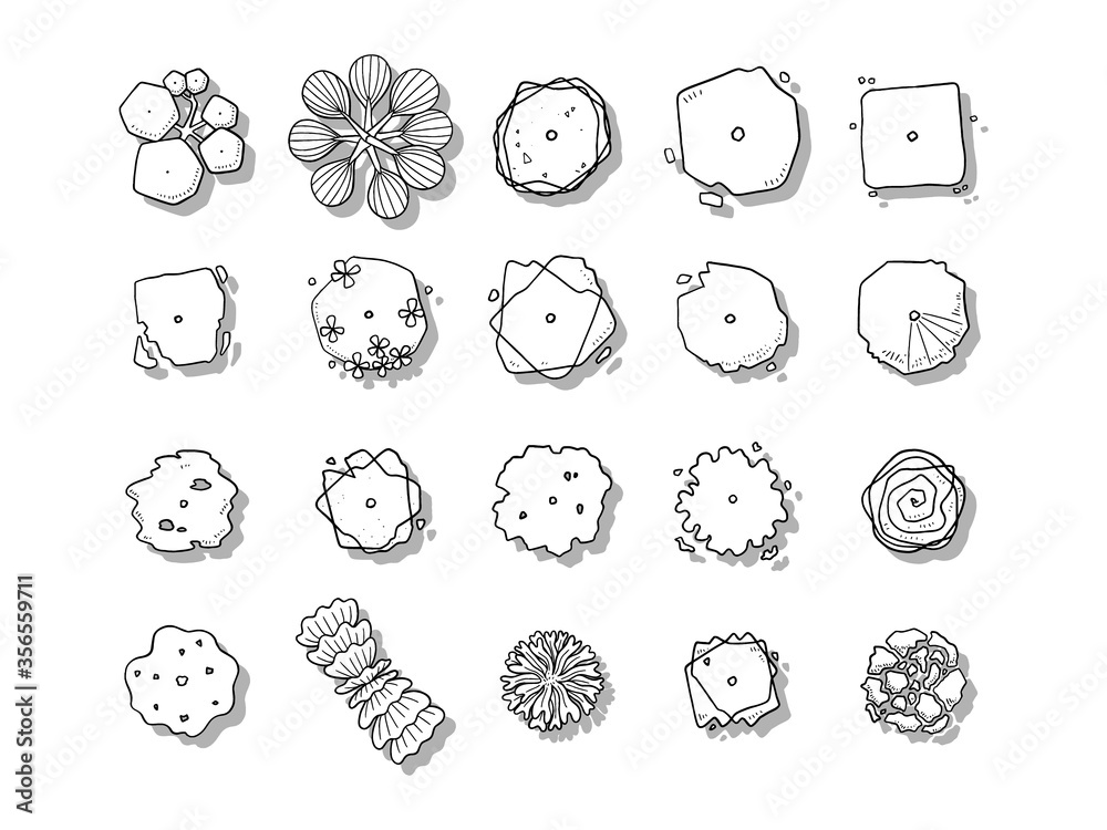 vector of top view tree set, hand drawn sketch on white background ...