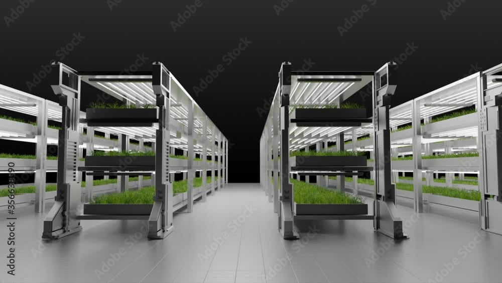 Moving camera view. Artificial Intelligence controlled automatic plant ...