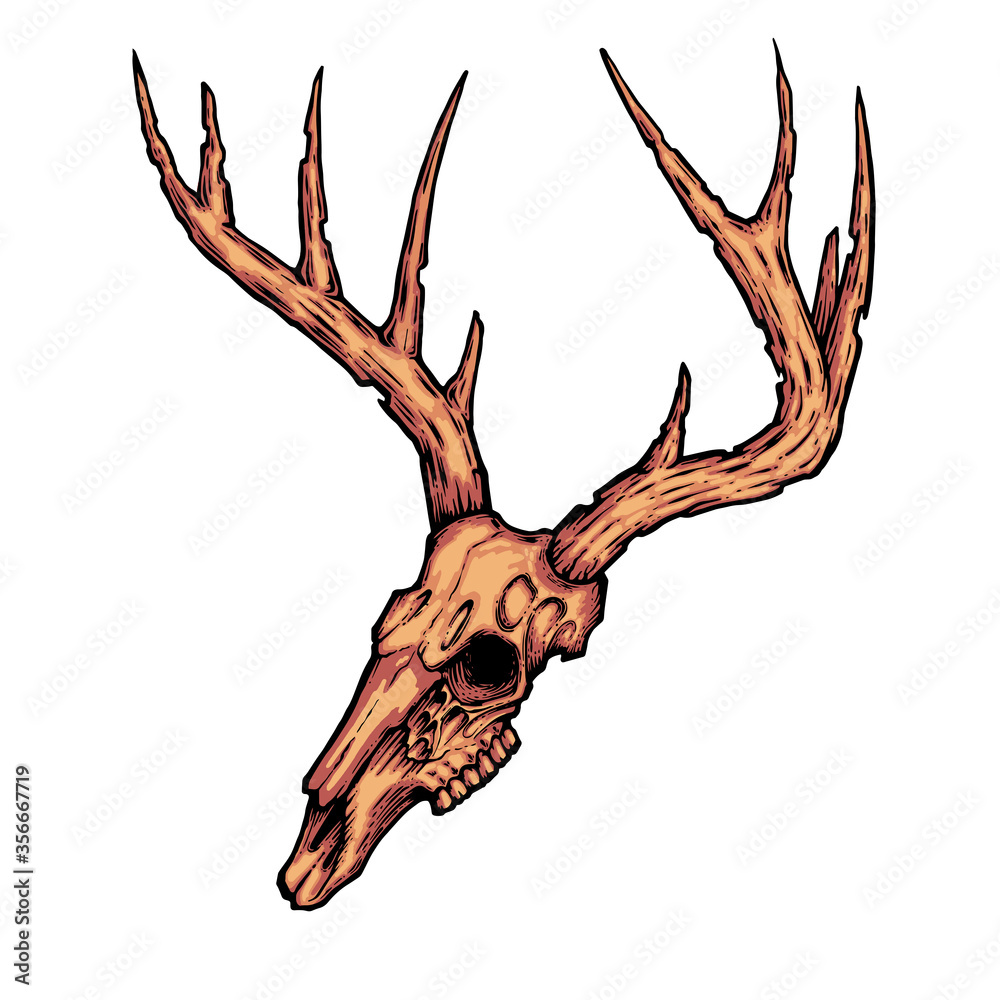deer skull on white, hand drawn vintage vector illustration. tattoo ...