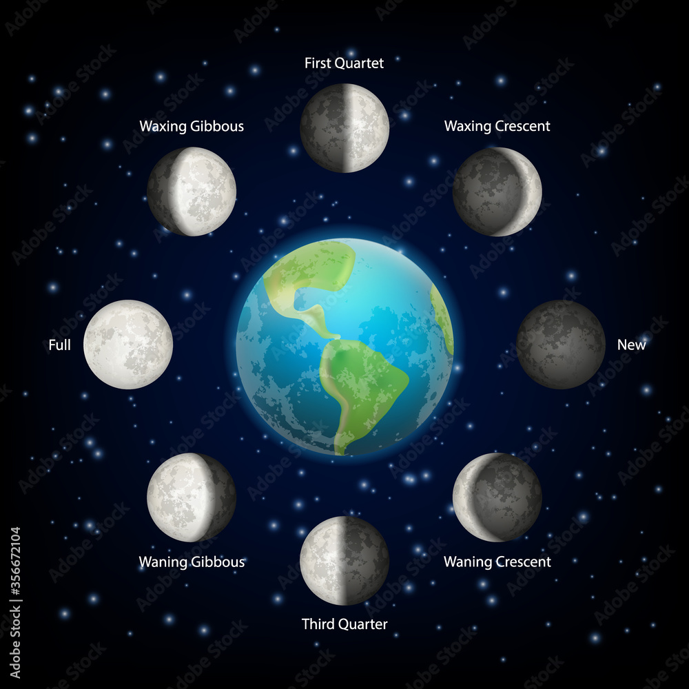 Moon phases vector realistic illustration Stock Vector | Adobe Stock
