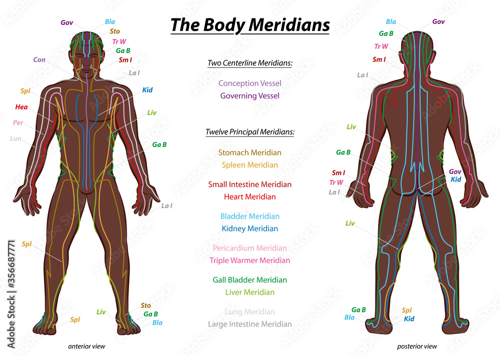 MERIDIAN SYSTEM CHART, black man, male body with labelled meridians ...